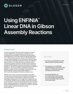 Application Note: Using ENFINIA™ Linear DNA in Gibson Assembly ...
