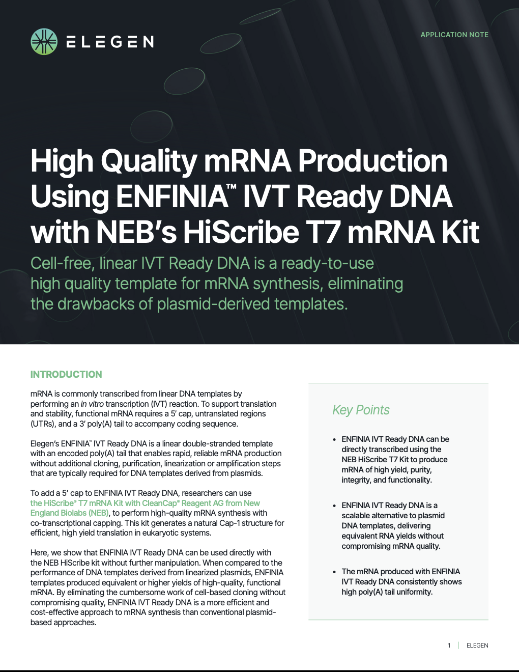 High Quality mRNA Production Using ENFINIA™ IVT Ready DNA with NEB’s ...